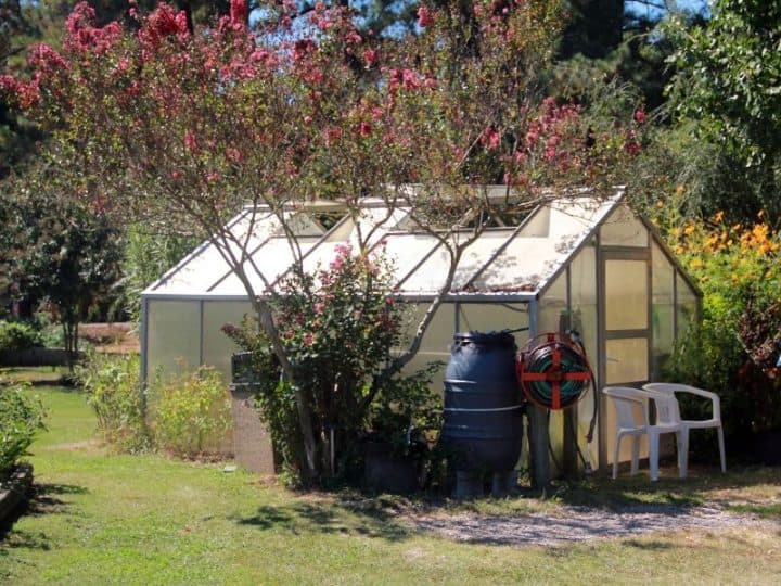 How To Build A Small Greenhouse In 8 Easy Steps