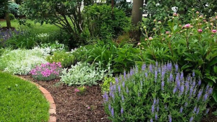 12 Budget-Friendly Curb Appeal Landscaping Ideas