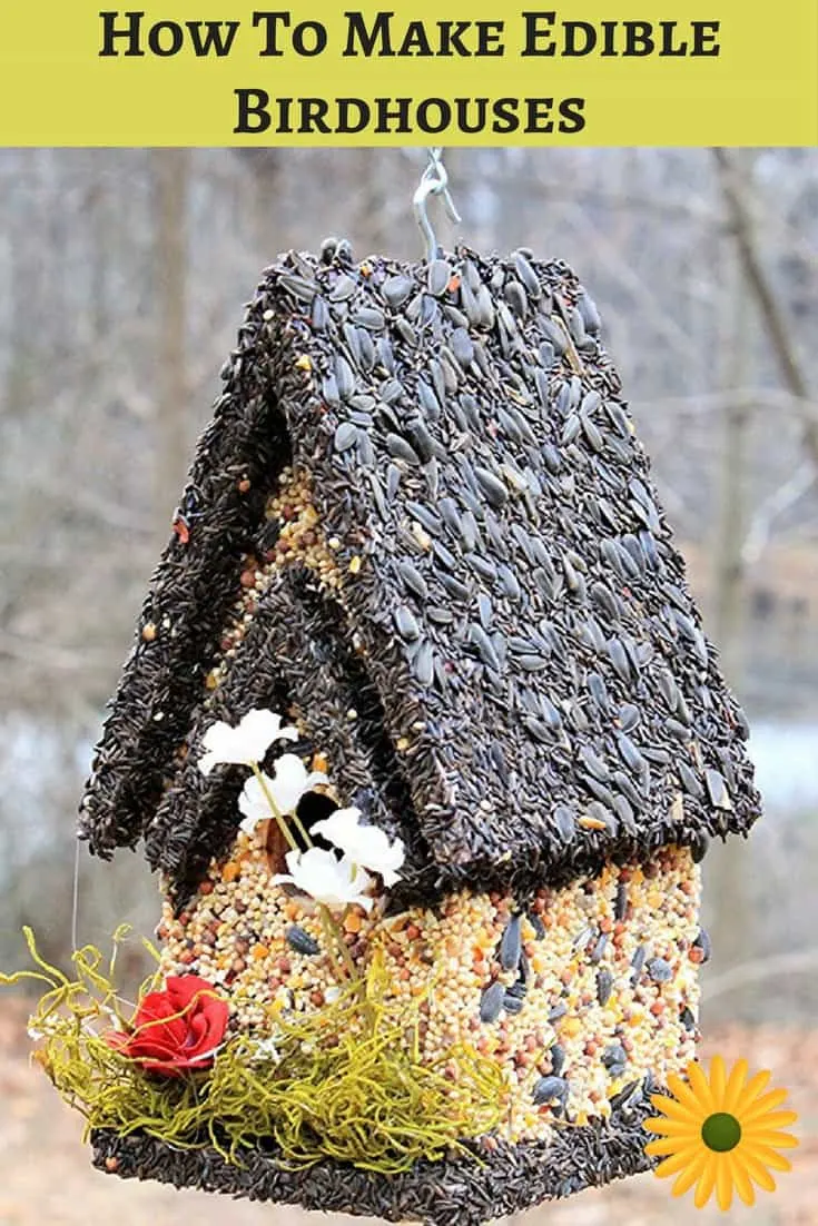 How To Make Edible Birdhouses For Your Feathered Friends