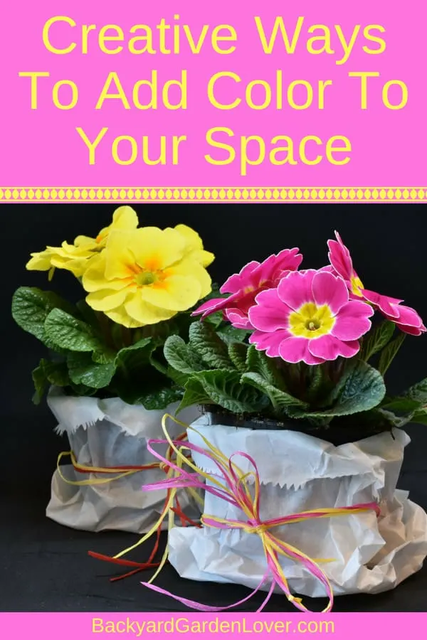 Creative Flower Pot Ideas That Add Color To Your Space