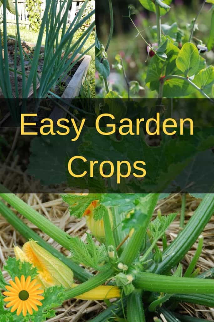 Easy Garden Crops For Instant Gratification