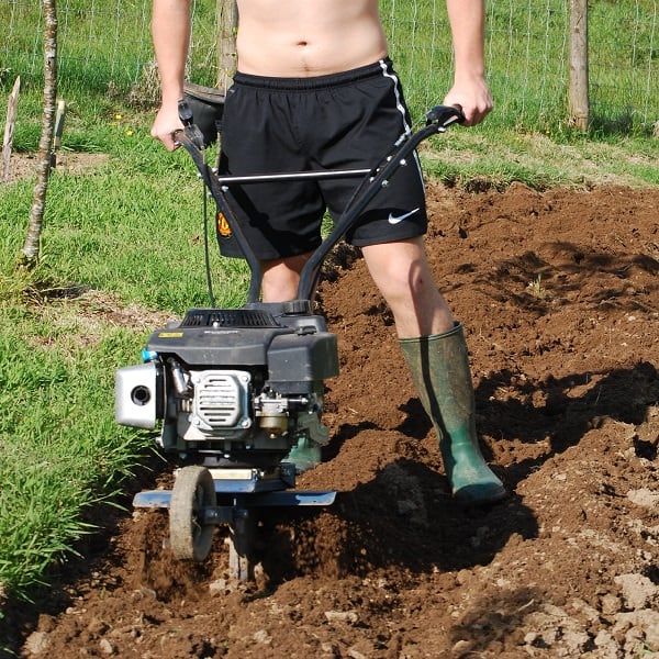 How To Start A New Vegetable Garden