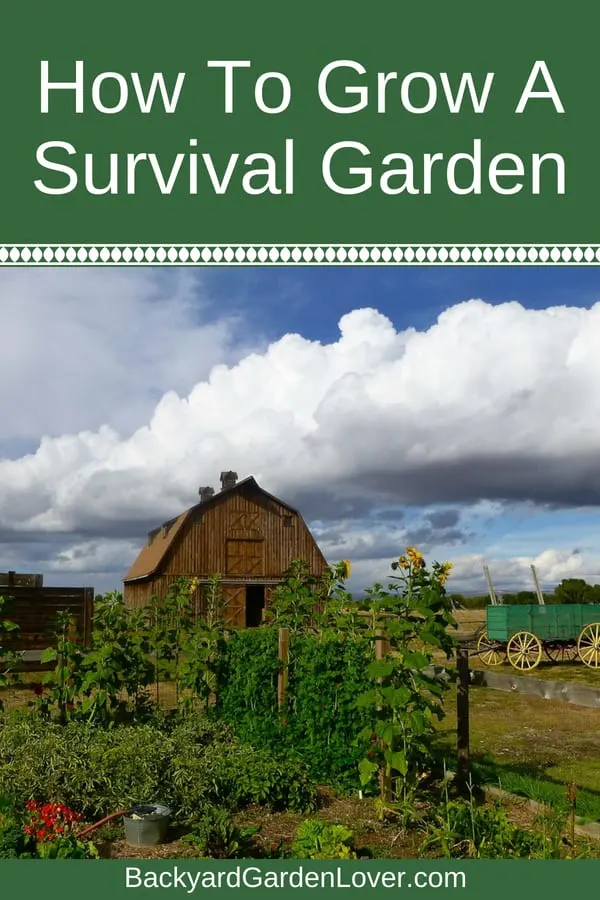 How To Grow A Survival Garden