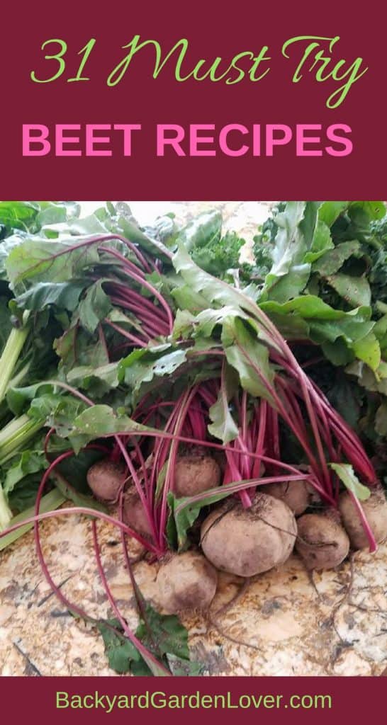 How To Prepare Beets For A Tasty & Healthy Experience