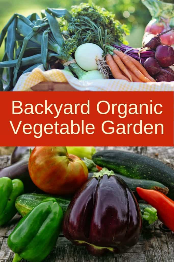 Backyard Organic Vegetable Garden
