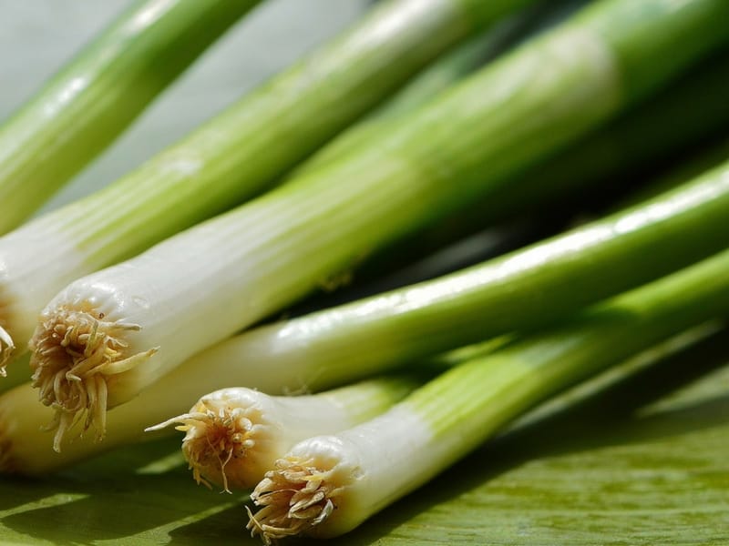 How To Grow Leeks