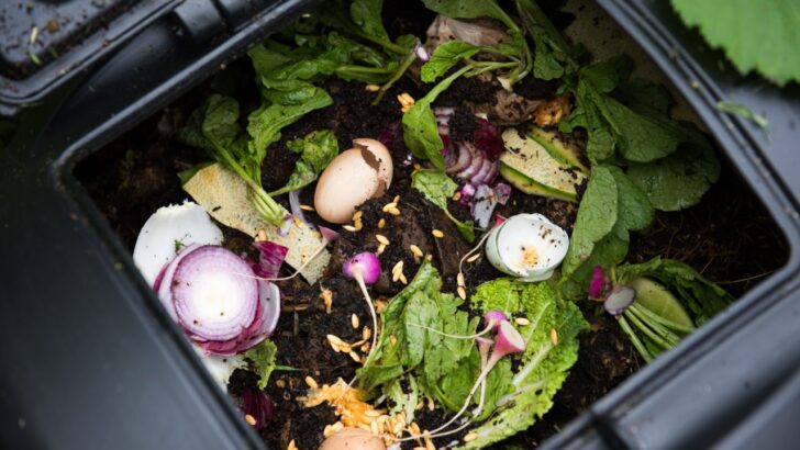 How To Make Organic Compost At Home For Better Vegetables