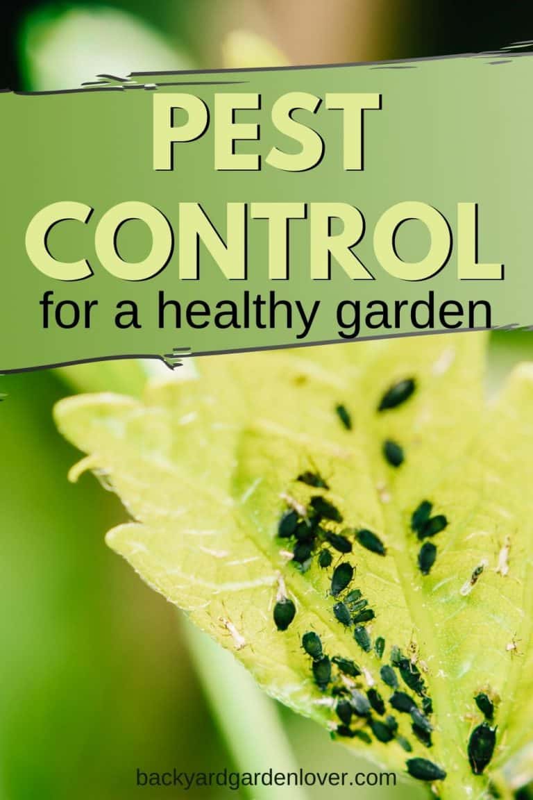 Home Garden Pest Control To Keep Your Garden Happy