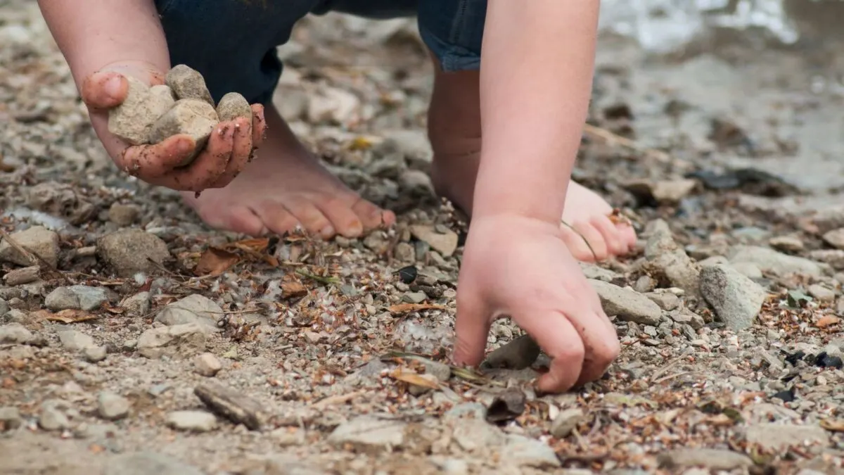 7 Easy Gardening Activities For Kids