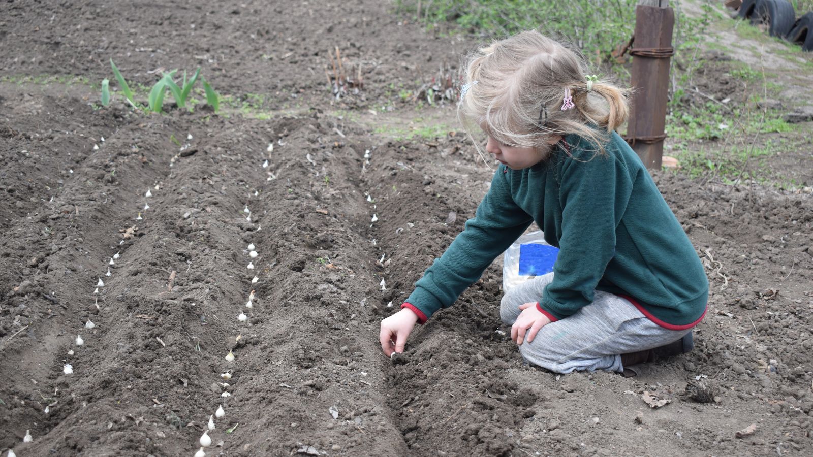 7 Easy Gardening Activities For Kids