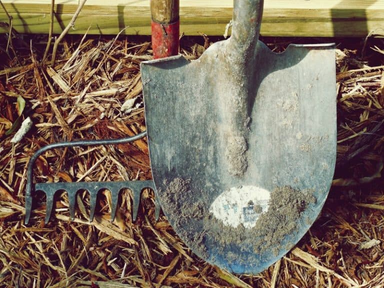 10 Spring Gardening Tips For A Healthy Veggie Garden