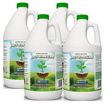 3 Ways To Effectively Kill Poison Oak And Reclaim Your Backyard