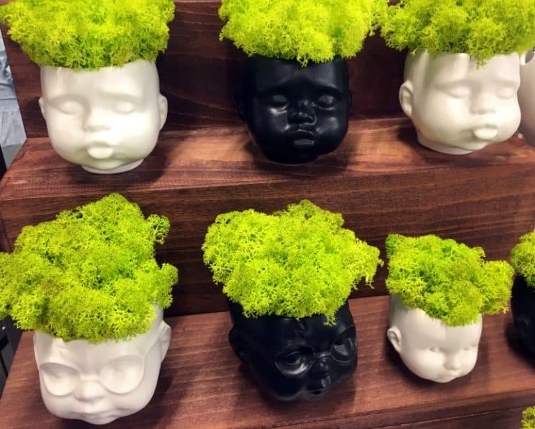 Unique Outdoor Head Planters That Add Personality To Your Garden