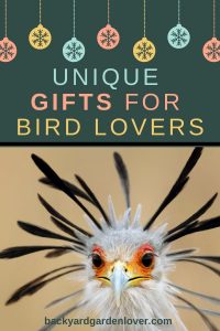 7 Unique Gifts For Bird Lovers