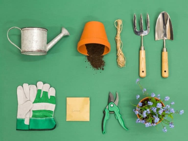 The Most Ordered Amazon Gardening Products