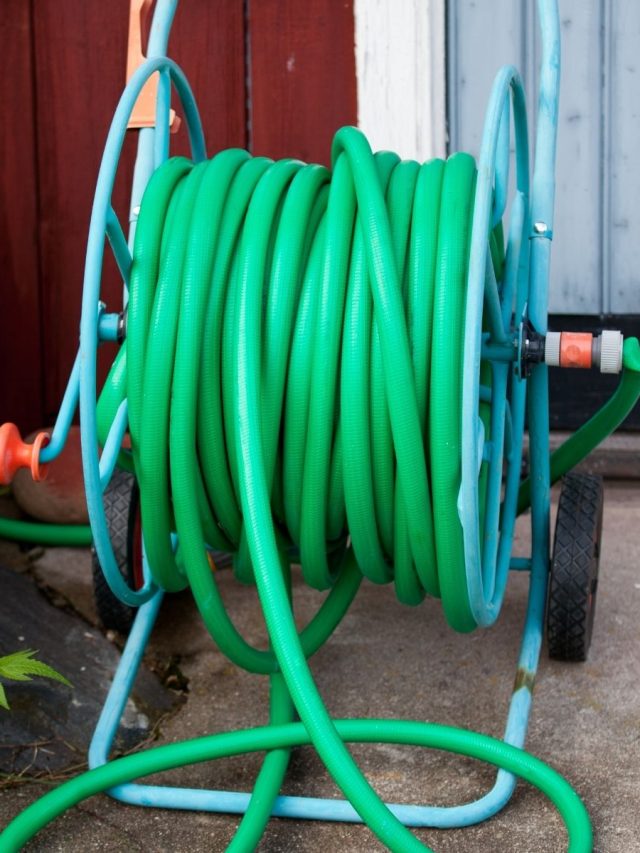 The Most Ordered Amazon Gardening Products