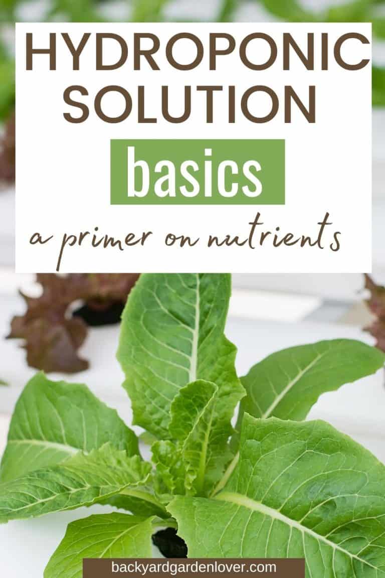 Hydroponic Solution Basics
