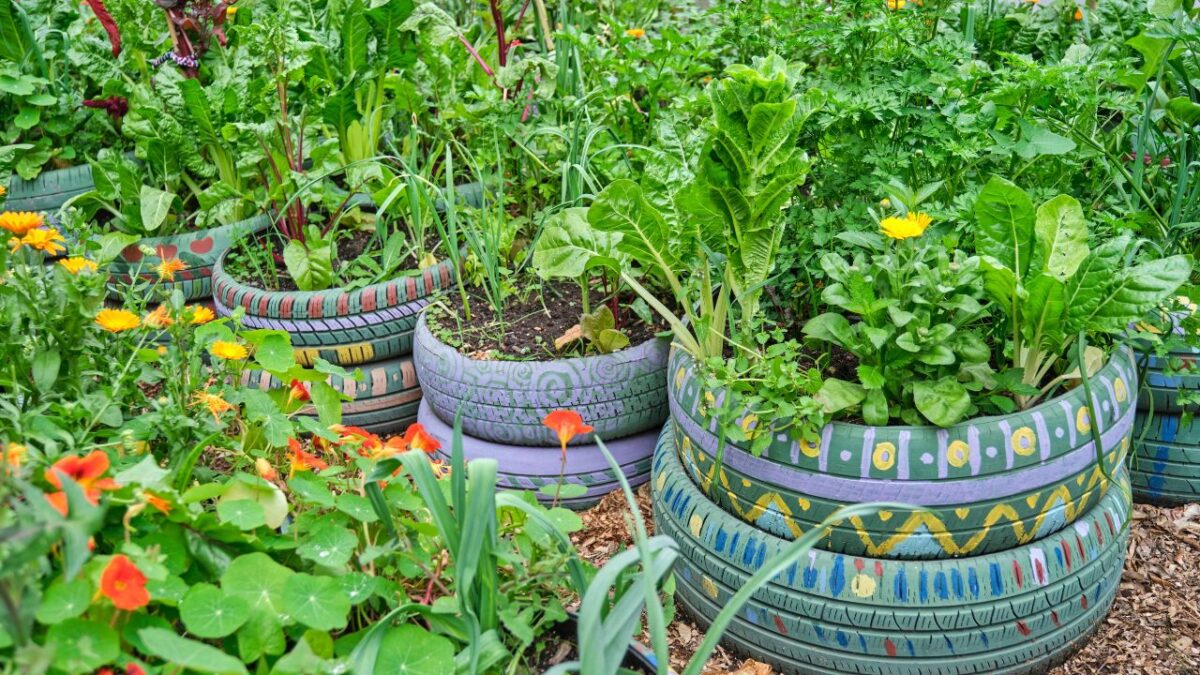 Weird Garden Hacks That Break All The Rules