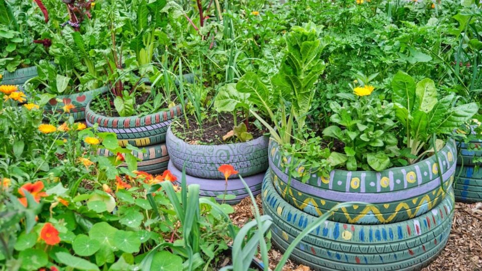 Weird Garden Hacks That Break All The Rules