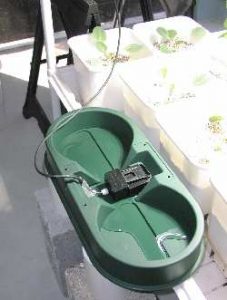 Autopot Hydroponics – Free Plans For A Wick System
