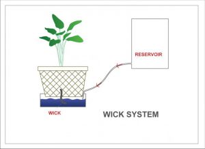 Autopot Hydroponics – Free Plans For A Wick System