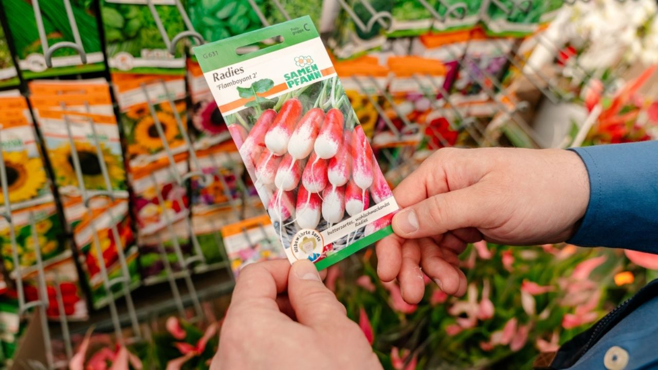 6 Smart Ways To Save Money On Garden Seeds