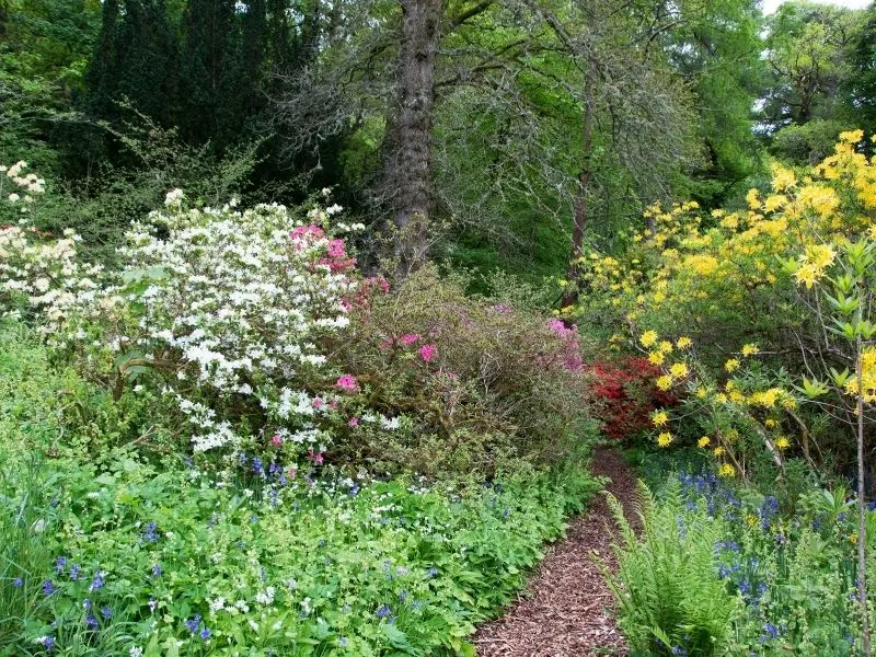 11 Attractive Garden Path Ideas For A Beautiful Landscape