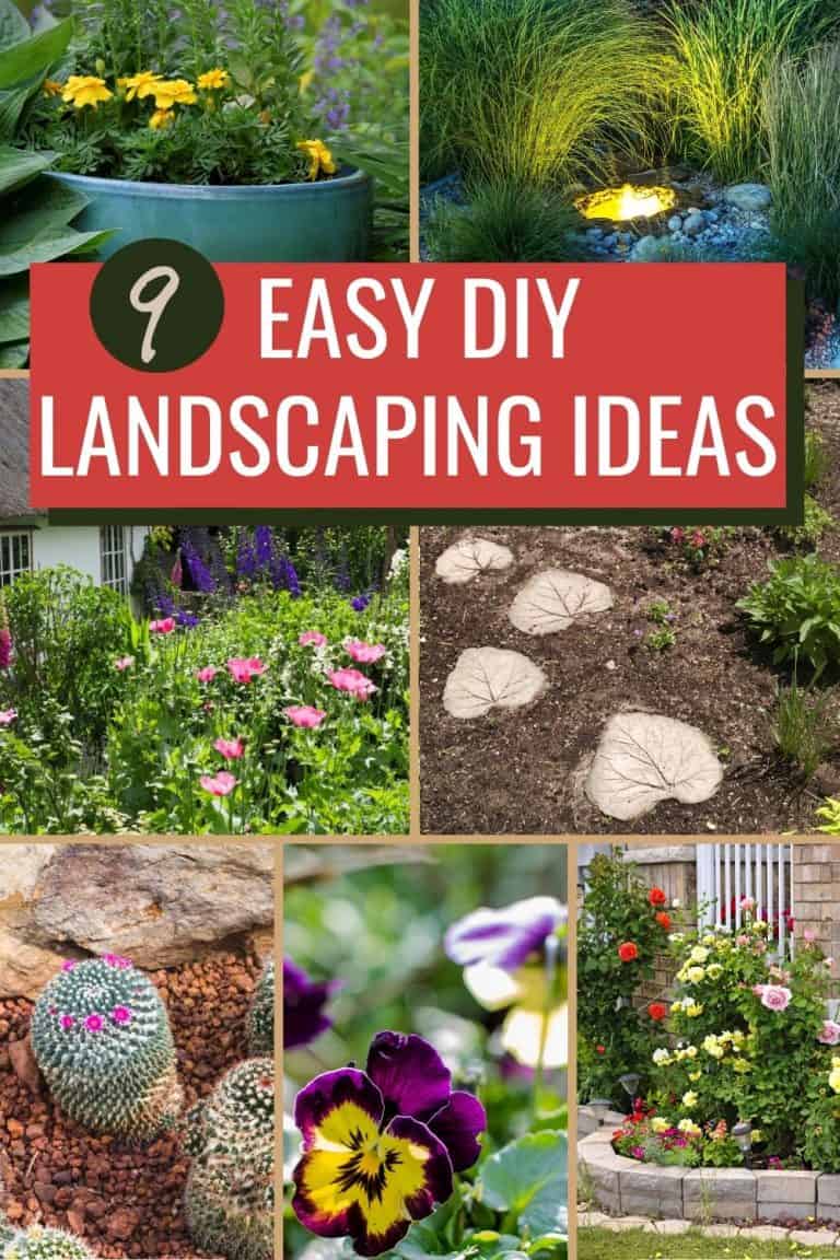 9 Easy DIY Landscaping Ideas For A Beautiful Yard
