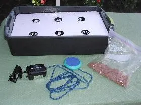 Hydroponic Lettuce Raft System - FREE Plans