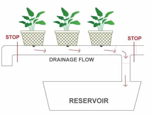 DIY Dutch Bucket Hydroponic System - FREE Plans