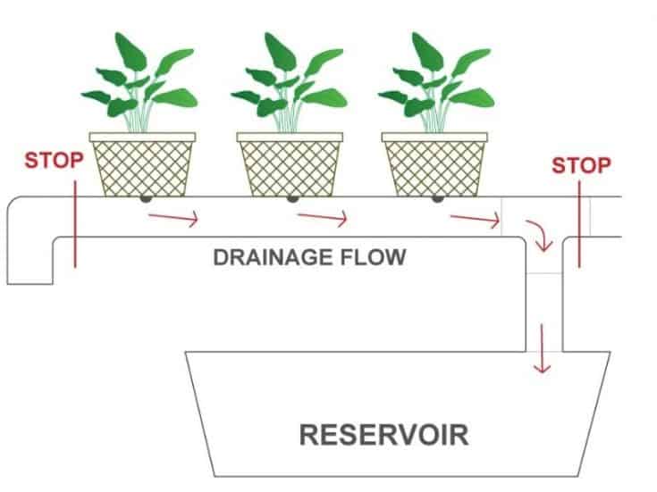 DIY Dutch Bucket Hydroponic System - FREE Plans