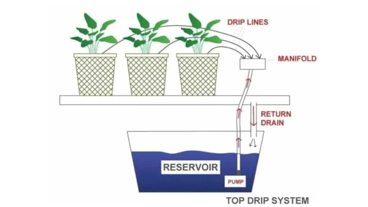 Free Plans For Hydroponic Setups