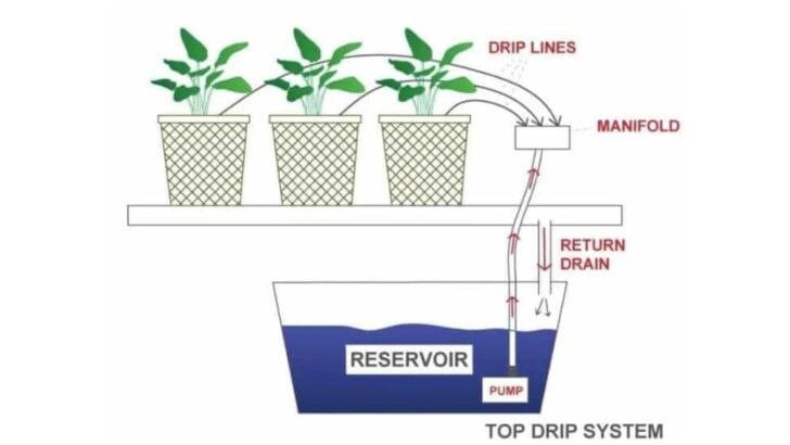 Free Plans For Hydroponic Setups