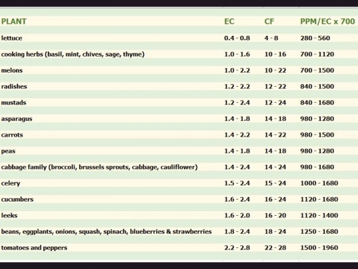 What Is A Hydroponic EC Meter And How To Use It