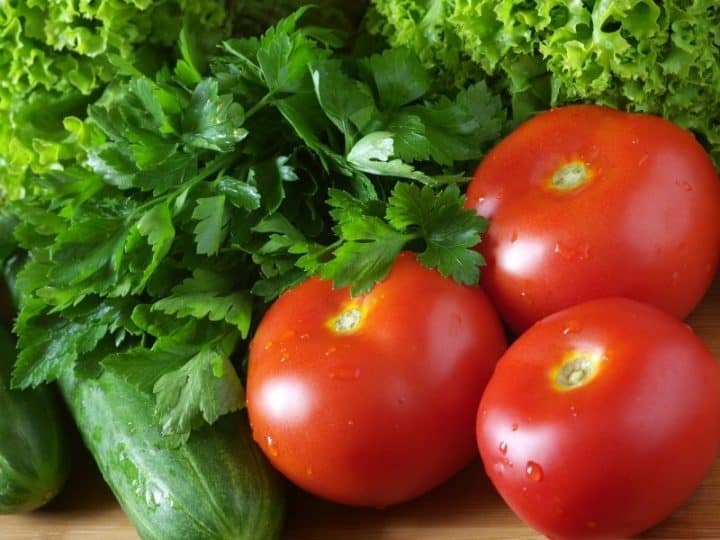 What Is A Hydroponic EC Meter And How To Use It