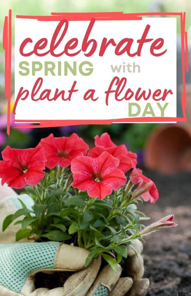 Celebrate Spring With Plant A Flower Day - Even With Snow Still On The ...