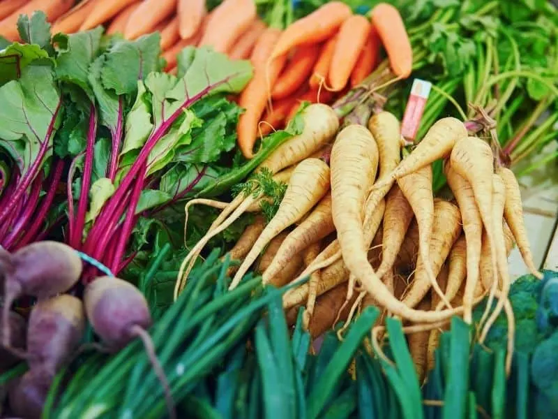 Eat (and Grow!) Your Greens On Fresh Veggies Day, June 16