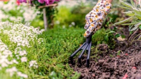 6 Ways To Get Active On National Gardening Exercise Day, June 6