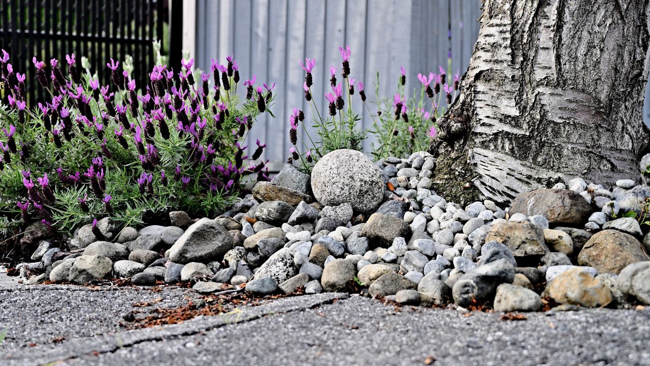 6 Low Maintenance Ideas For Landscaping With River Rock