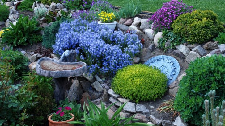 6 Low Maintenance Ideas For Landscaping With River Rock