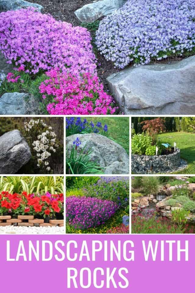 13 Creative Ideas For Landscaping With Rocks