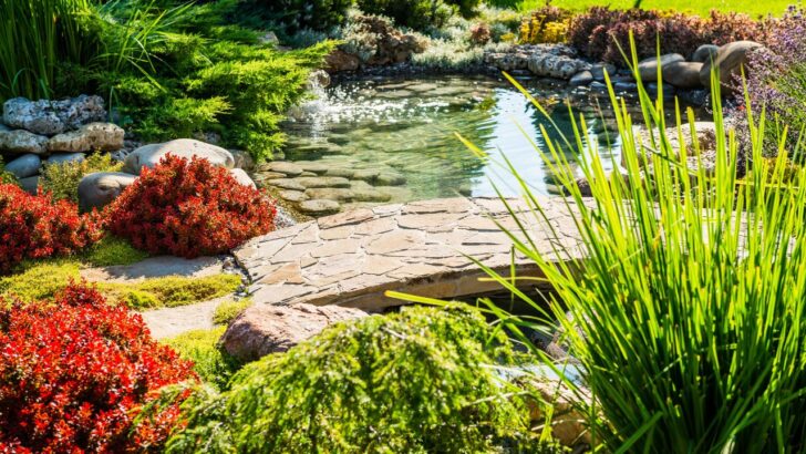 6 Fun Ideas For Landscaping Around Water Fountains