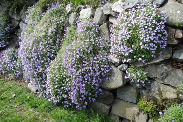 12 Fun Ideas For Landscaping With Large Rocks And Boulders