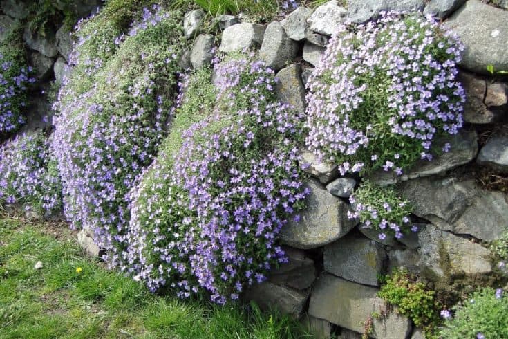 12 Fun Ideas For Landscaping With Large Rocks And Boulders