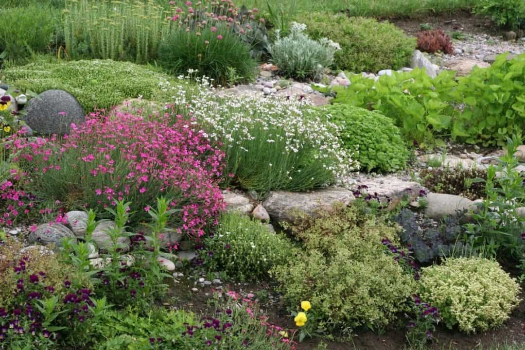 12 Fun Ideas For Landscaping With Large Rocks And Boulders