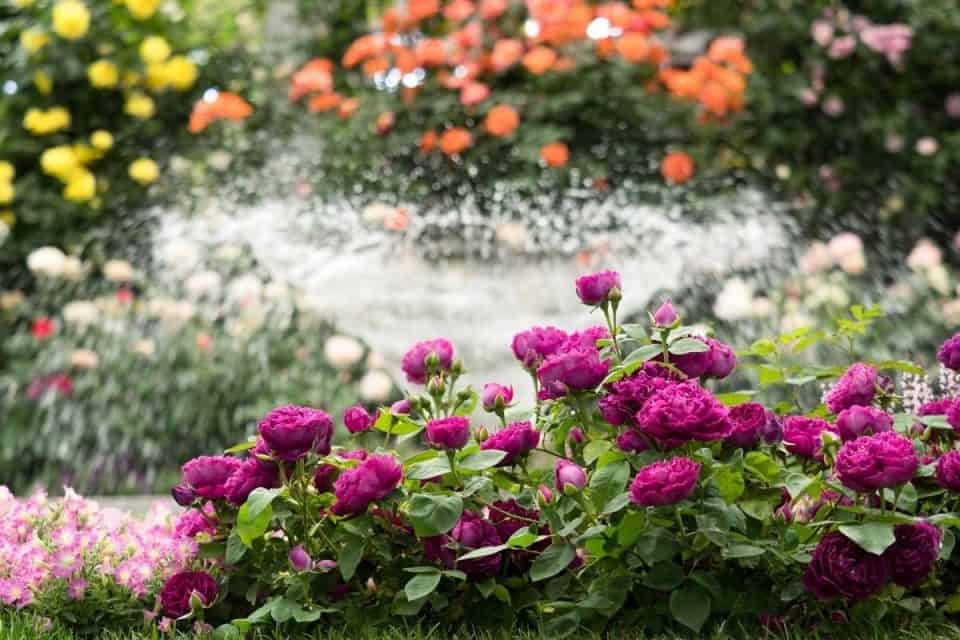6 Fun Ideas For Landscaping Around Water Fountains