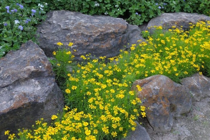 12 Fun Ideas For Landscaping With Large Rocks And Boulders