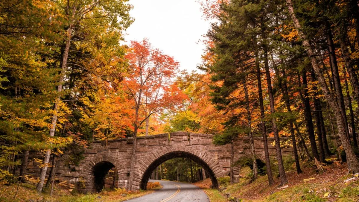 Best Places To See Fall Leaves On The East Coast