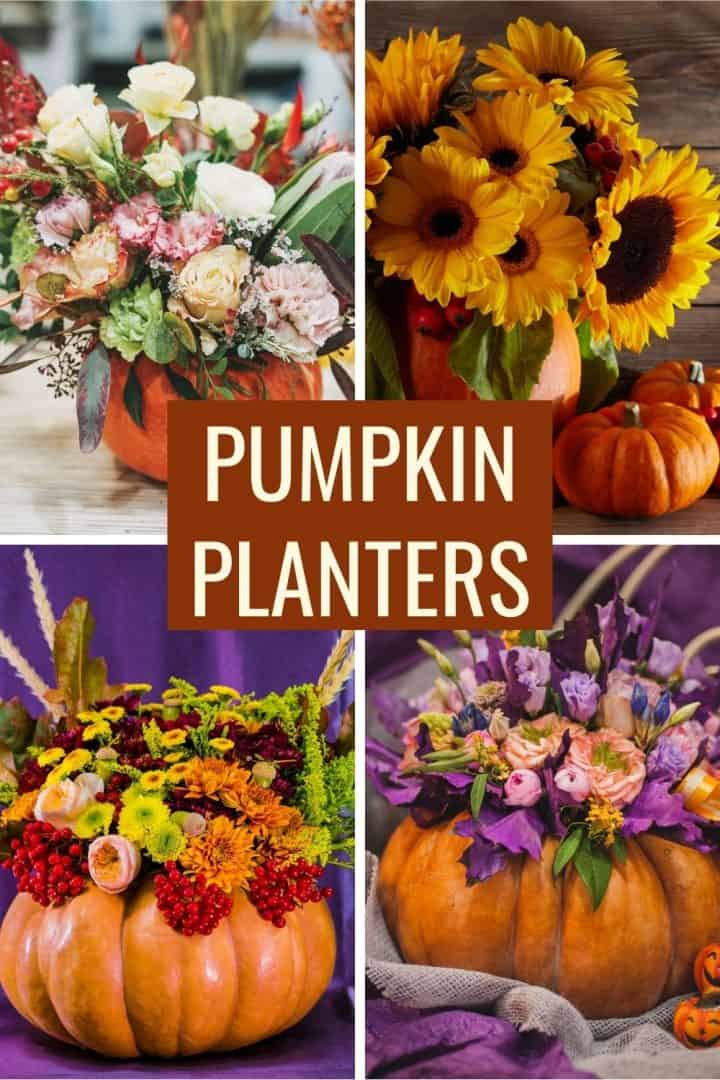 13 Pumpkin Planter Ideas For The Perfect Fall Decor