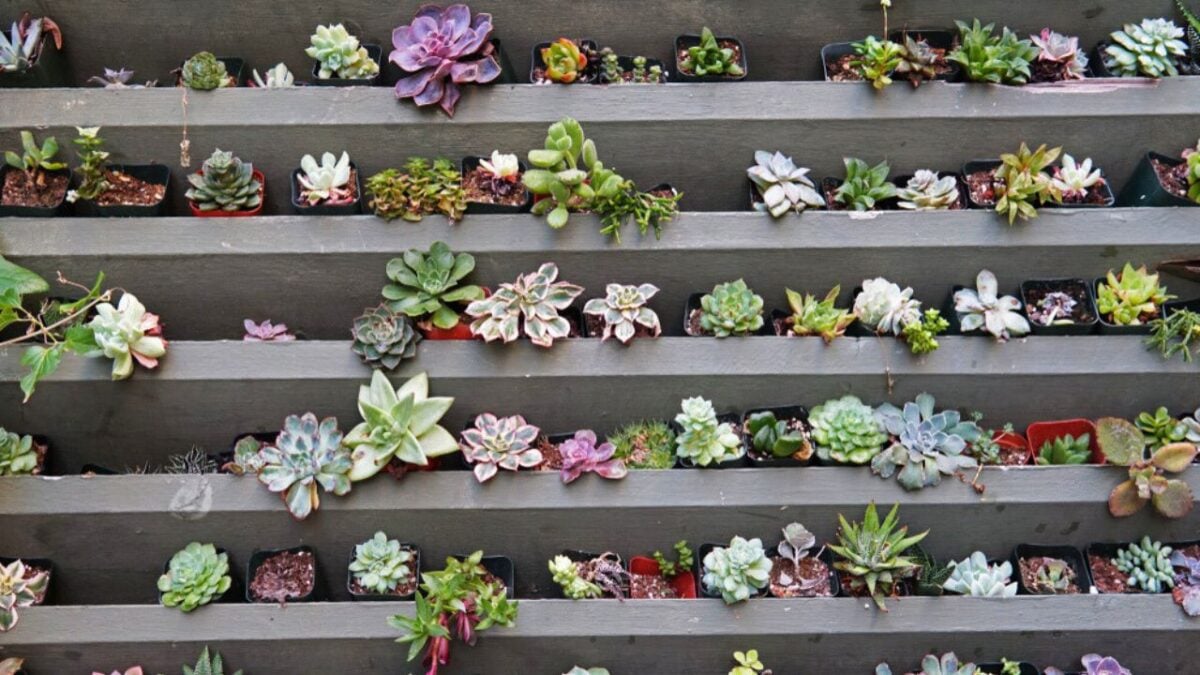 Sick Of A High Maintenance Lawn? Get Inspired By These 25 Landscaping Ideas